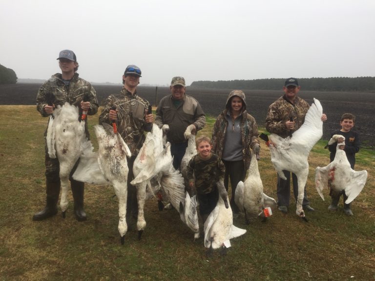 Swan Hunting - GGS Outfitters